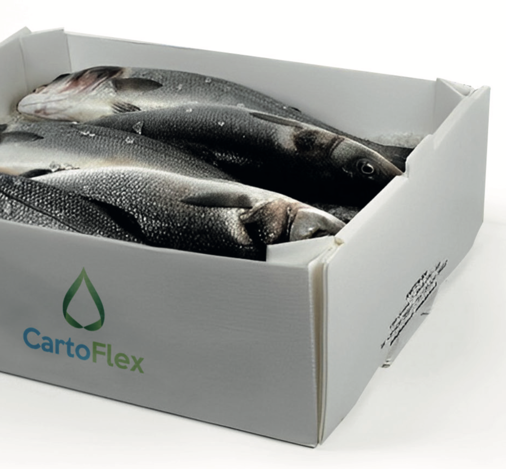 Inicio - Cartoflex SAS